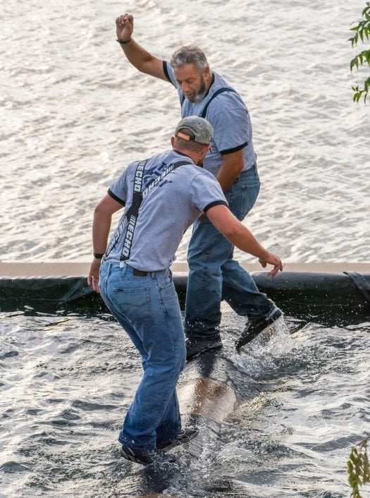 Fun Stuff - Paul Bunyan Lumberjack Show